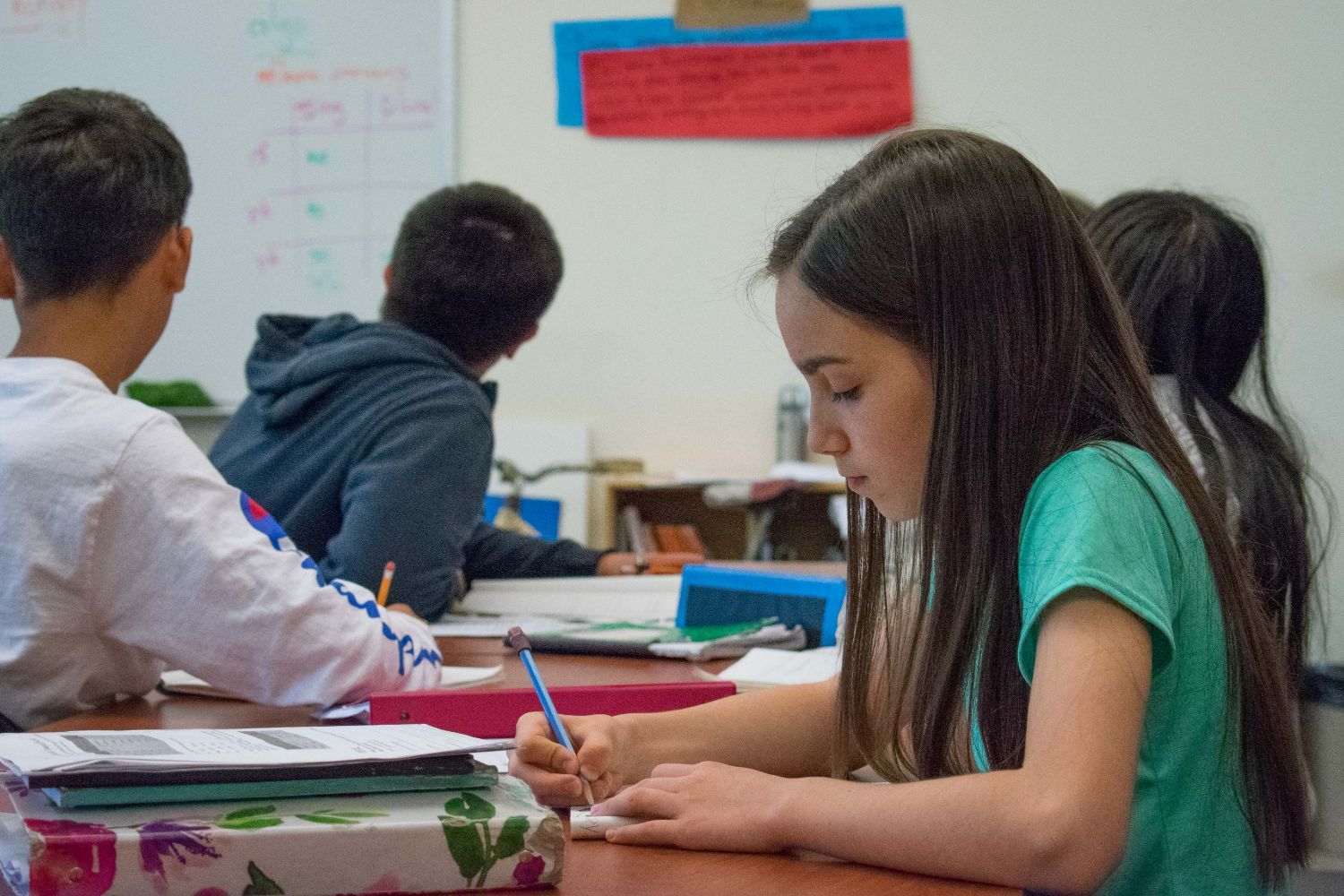 Support the physical, social, and emotional needs of students
